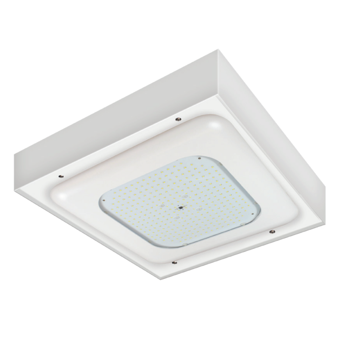 PROlite Spec Grade – Emergensee | PROLite