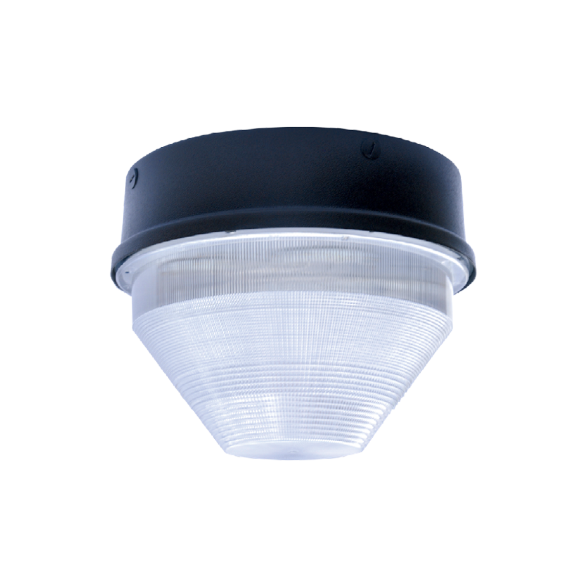 PROlite Spec Grade – Emergensee | PROLite